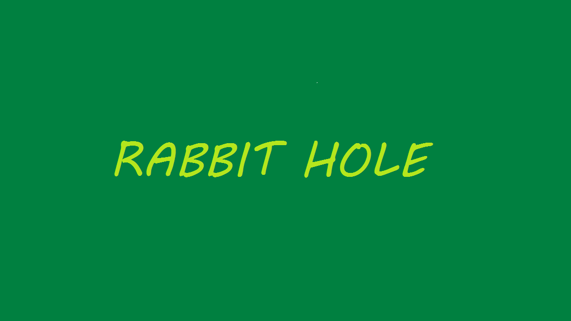 WoW#5 : Word of the Week — RABBIT HOLE | by La Minute Américaine | Medium