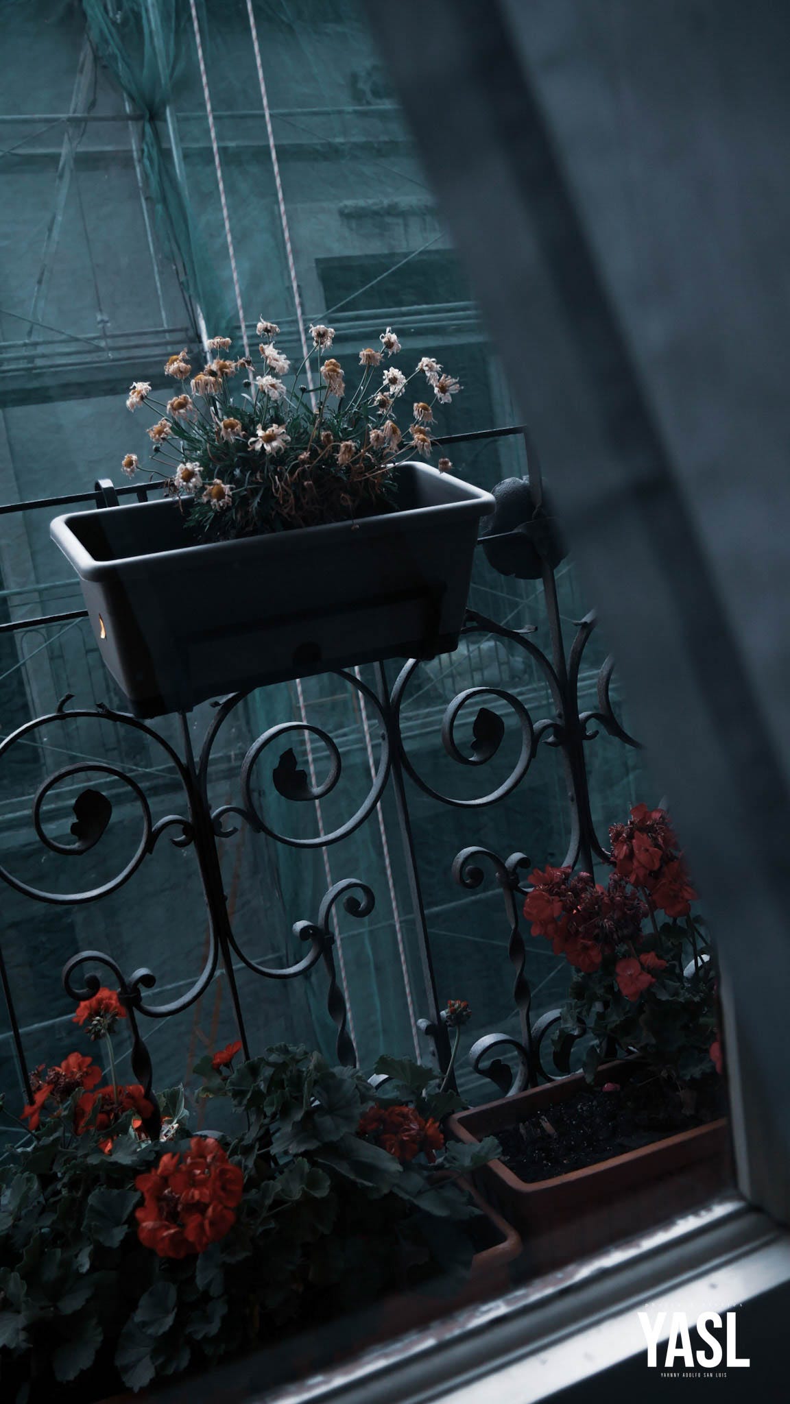 The Ordinary Details of Daily Life Enhances Nostalgia: 4 Key Reasons ...