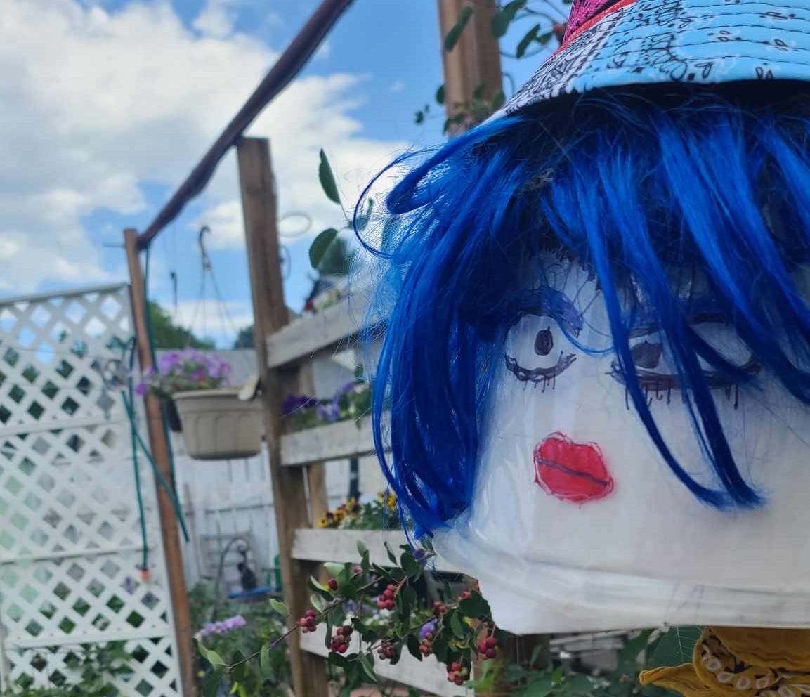 The Hauntingly Beautiful Failure of Sybil the Scarecrow | by Lindsay ...