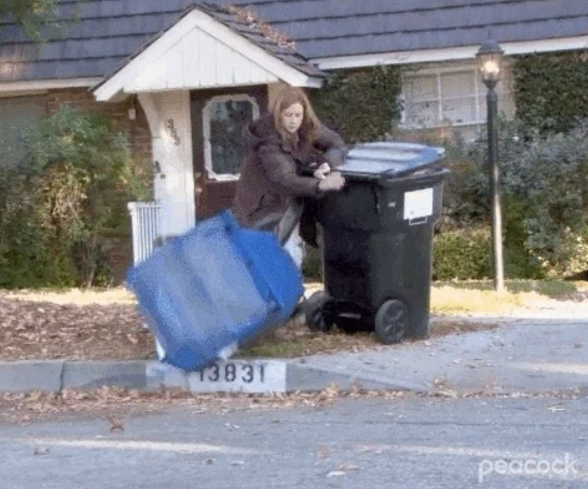 The Bin-Fairy-Gone-Feral Incident | by Jay - Mental Health Advocate ...