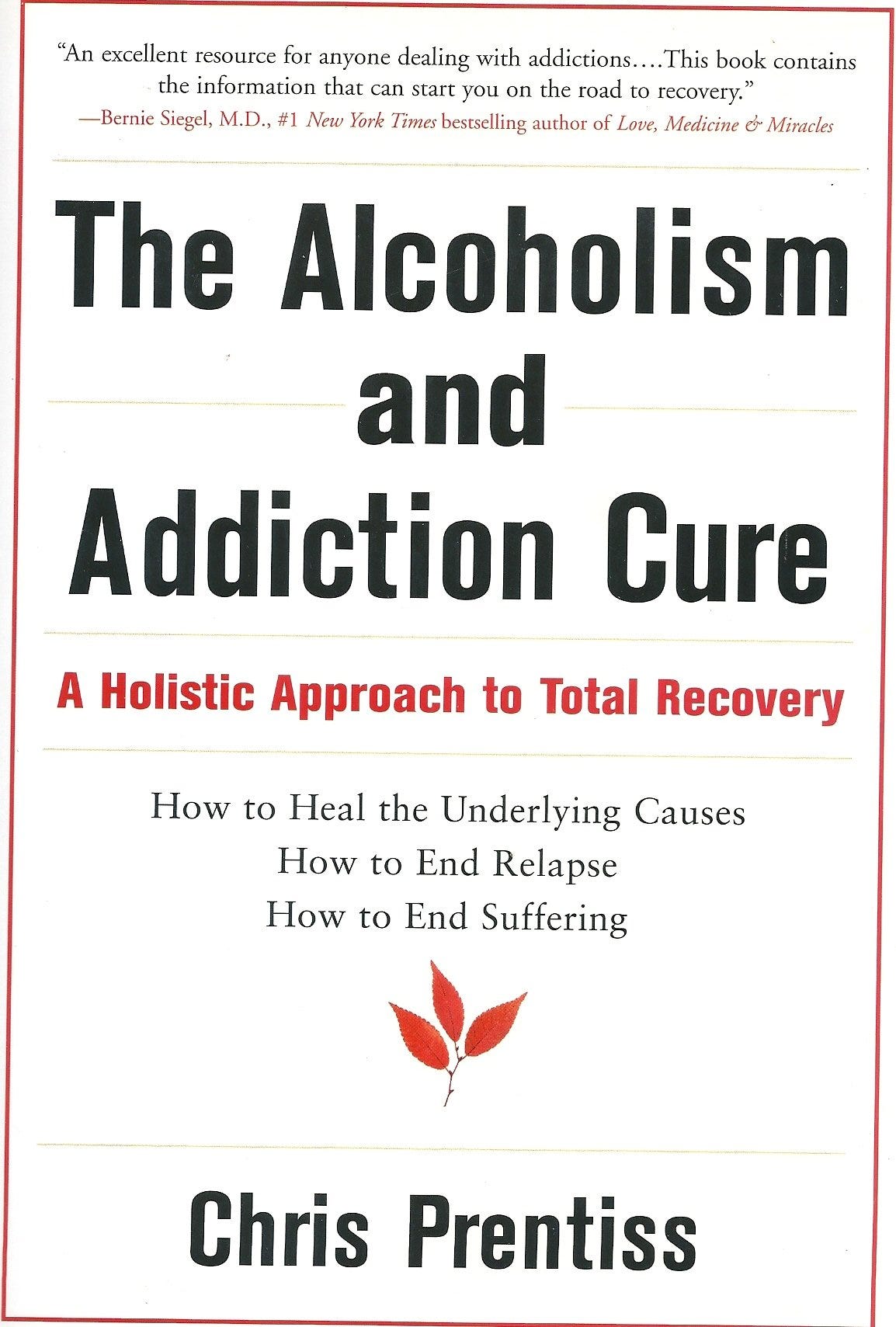 [EPUB]-The Alcoholism Addiction Cure: Addiction Ends Here ...