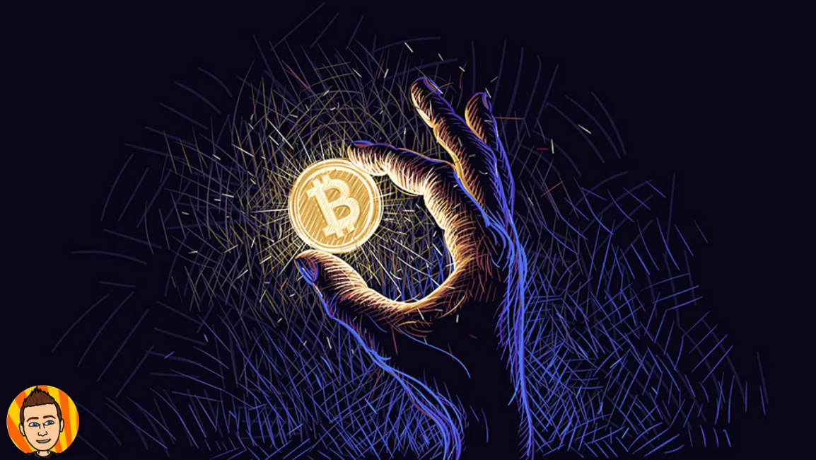 The Bitcoin Cycle: Wash, Rinse & Repeat | by Johnwege | Aug, 2024 | Medium