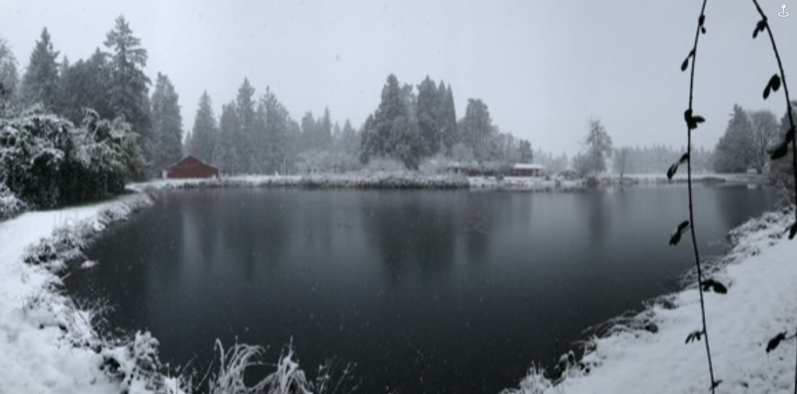The Ice Storm Triggered Cancer Memories of 2021 | by Debra Groves ...