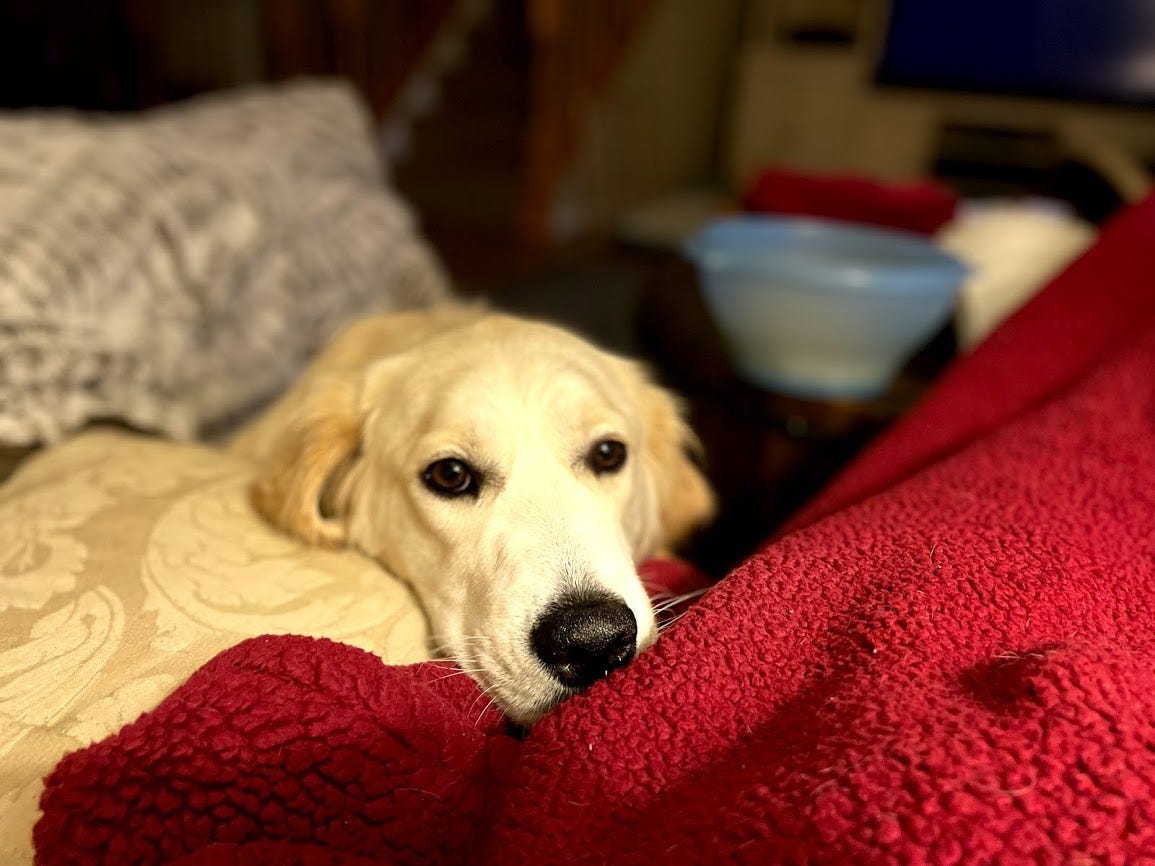 Feeling Pretty Bleh Today. Part Three of the Crown Chakra | by Anna ...