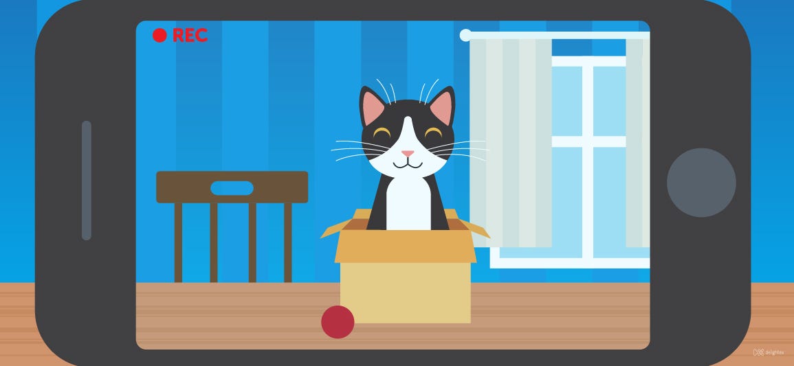 The benefits of cat videos, swearing and procrastination— psychological ...