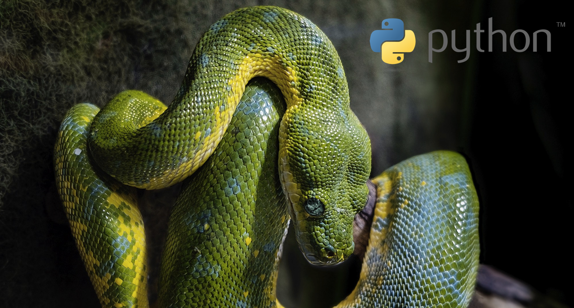Adding Python to your life — Introduction to lessons | by Navid Nobani ...