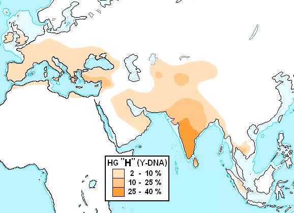 Where Did Dravidian People Originate From