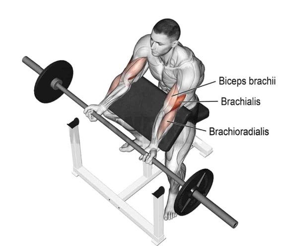 Preacher Curl Machine Alternative