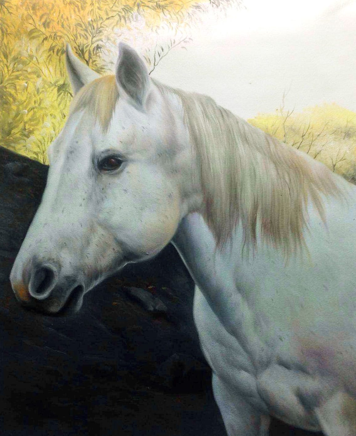 How about the production of colored base and the influence of color ...