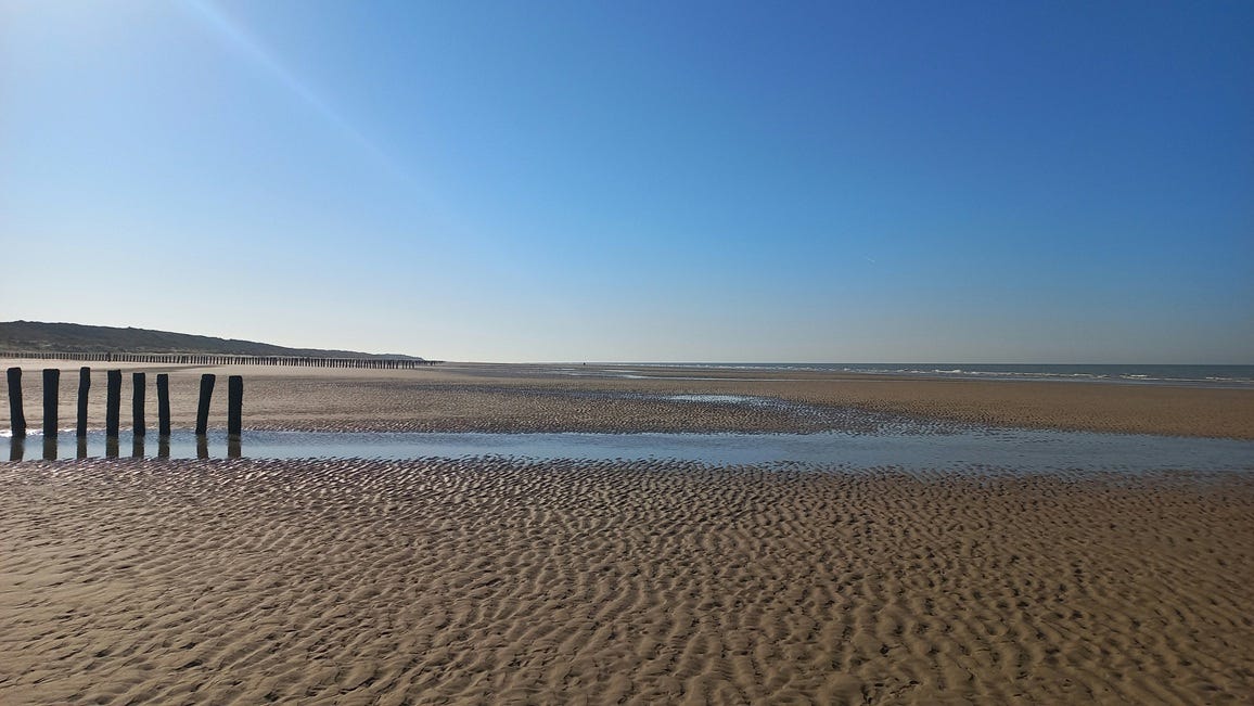 Low Tide Mark - The Lark - Medium