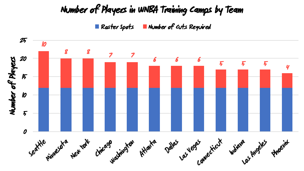 The Numbers Behind WNBA Training Camp | by Jenn Hatfield | Her Hoop ...