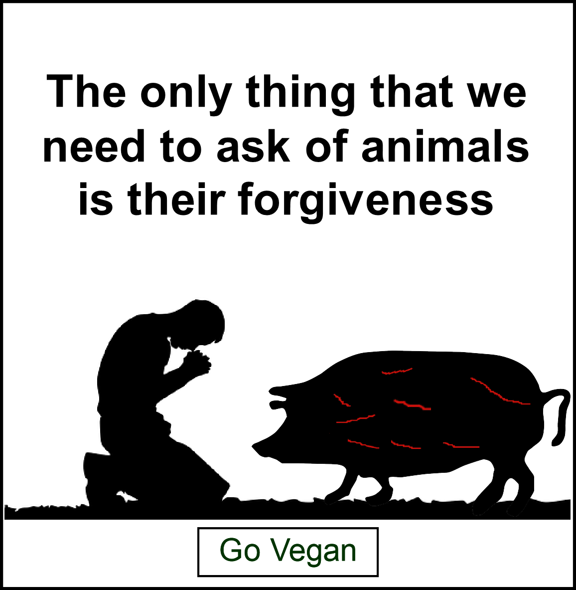 Forgiveness - Animals Out Loud - Medium