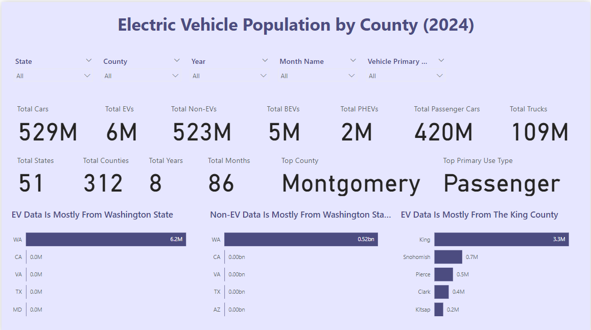 Data Analysis Sample Of Electric Vehicle Population by County (2024 ...