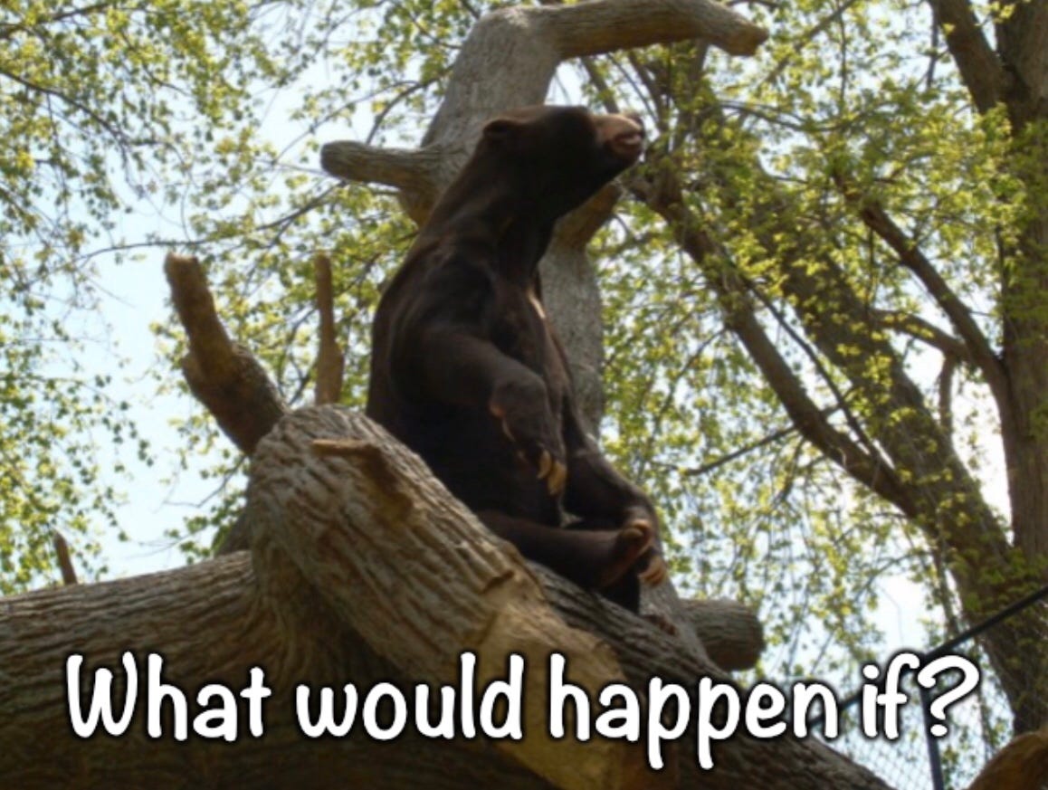 What would happen if?. What would happen if you made time in… | by C. A ...