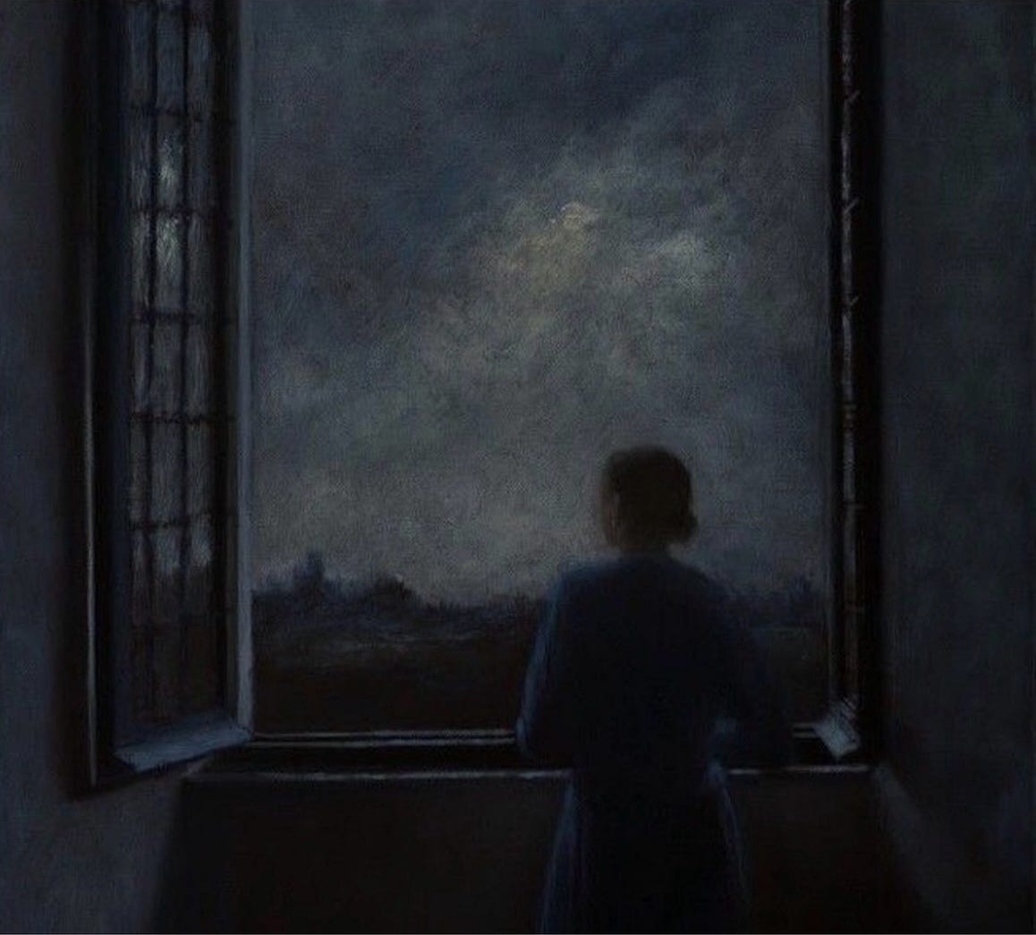 Between Shadows and Dawn - wandering fox - Medium