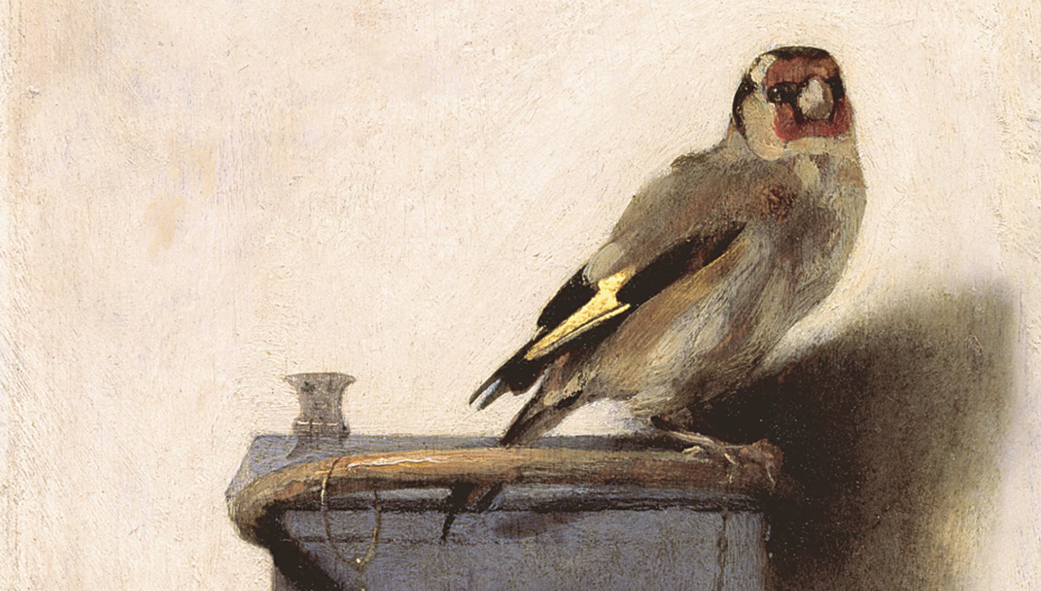 The Goldfinch and Its Use of the Unreliable Narrator Trope | by Kaeya ...