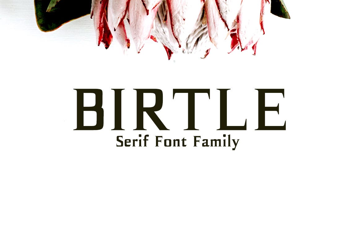 Birtle Font | by Graceglimmer | May, 2024 | Medium
