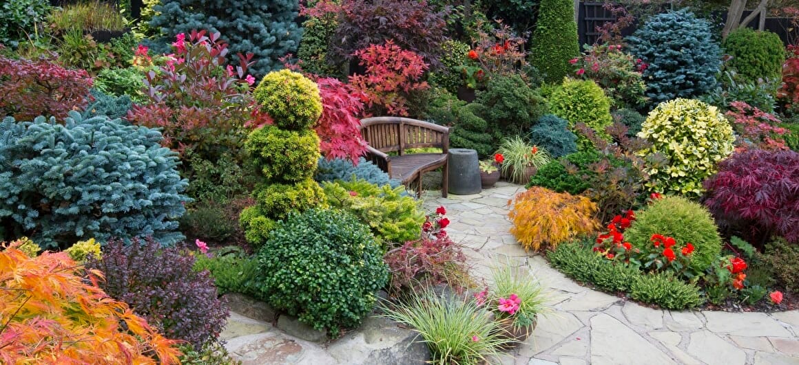Transform Your Garden with Beautiful, Versatile Shrubs - Greenwood ...