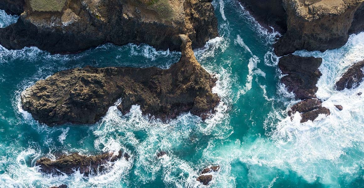 Ecocentric Design — Week 1 Thoughts | by Angelica Choi | Medium