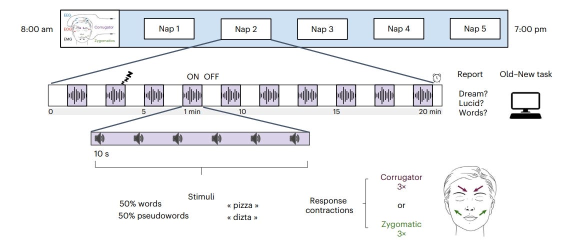 Eeg Analysis Of Cognitive Processing And Responsiveness To External