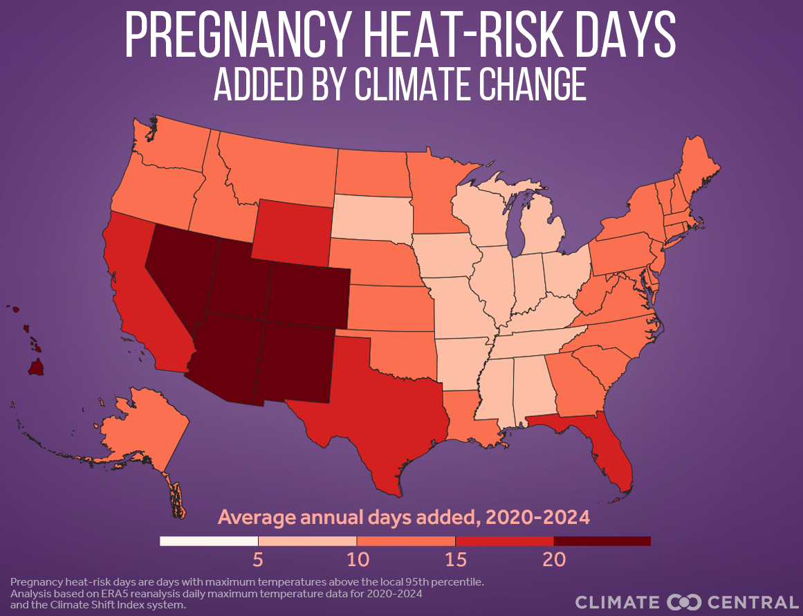 Heat & Pregnancy. Climate Central: “Pregnancy heat-risk… | by S. W ...