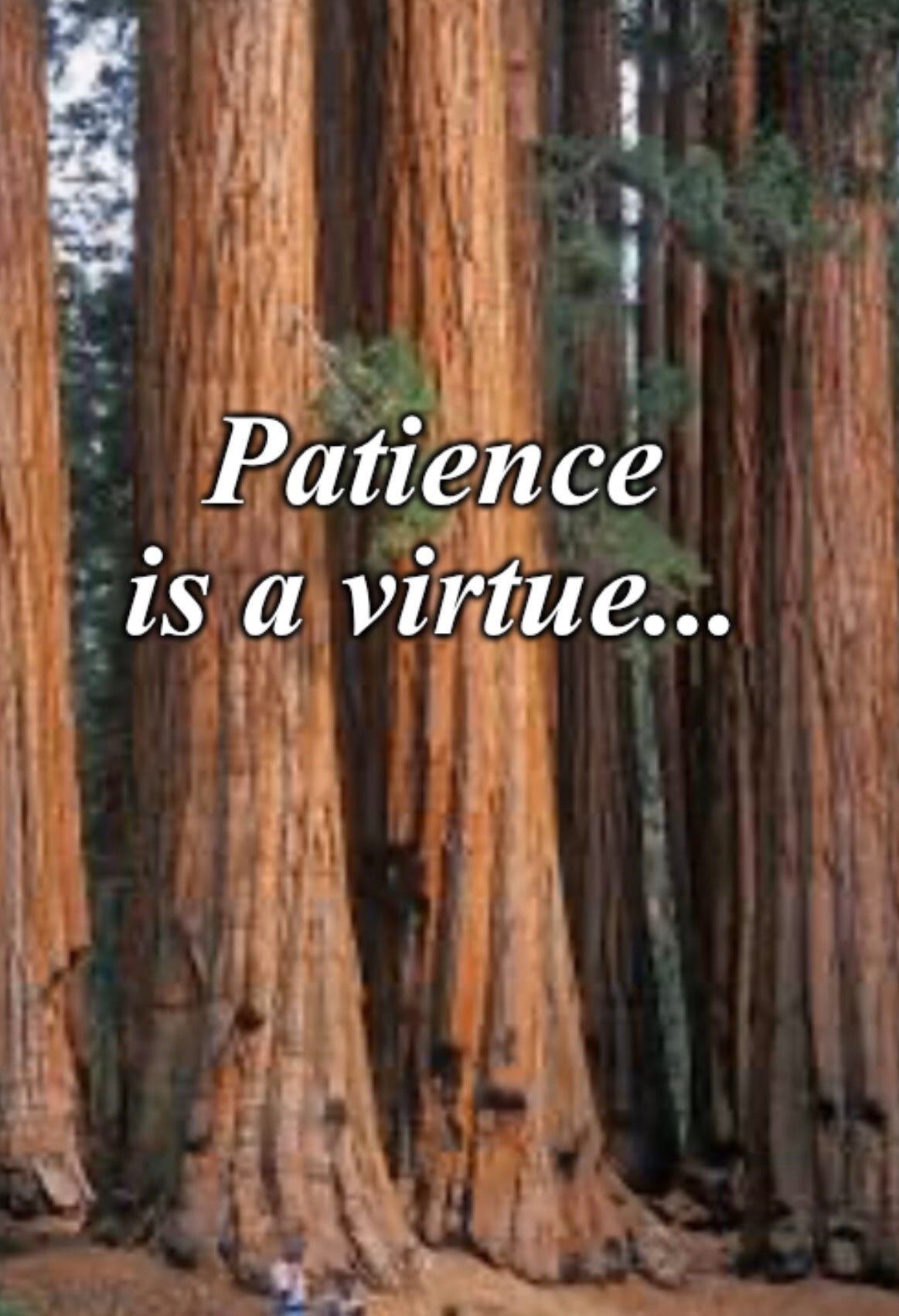 Patience is a virtue… Patience is a virtue. Patience has always been a ...