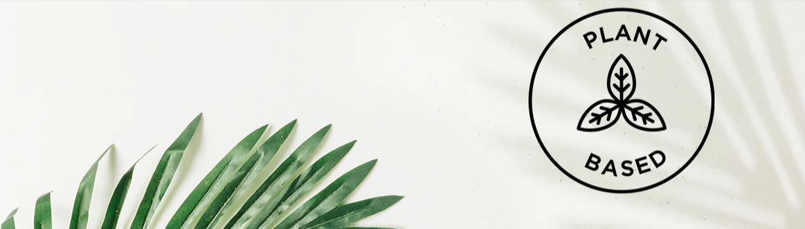 A Plant-Based Routine That Keeps Skin Hydrated this Summer Season | by ...