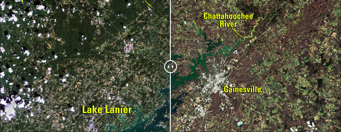 Seeing the Real Change due to Climate Change | by Ekansh Bhatnagar | Medium