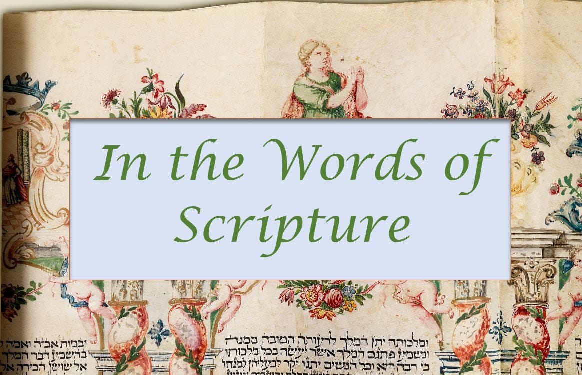 Delight n. 2. “His delight is in the law of the… | by Peter Drogin | Medium
