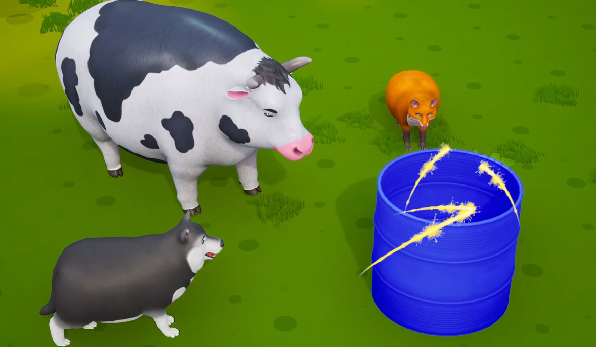 Fat Animals Funny