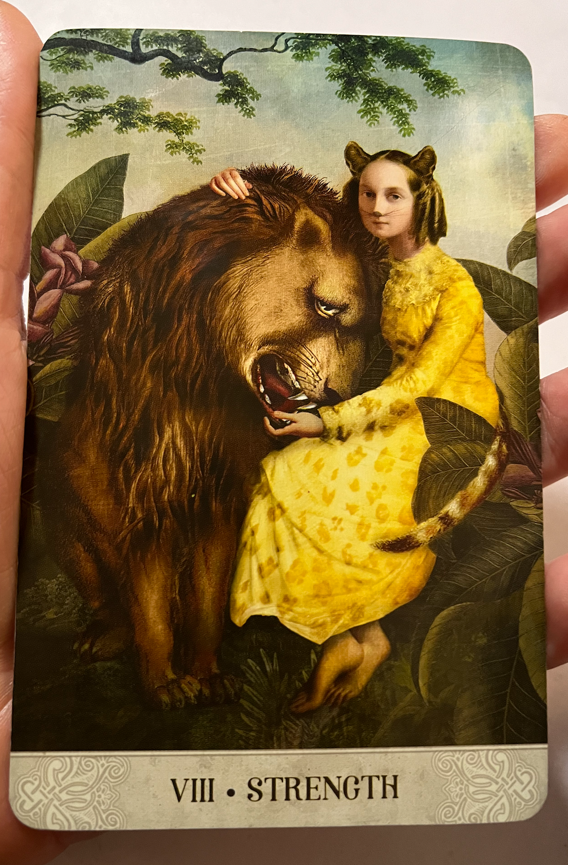 My Morning Tarot: Strength. Courage. Confidence. Compassion. The… | by ...