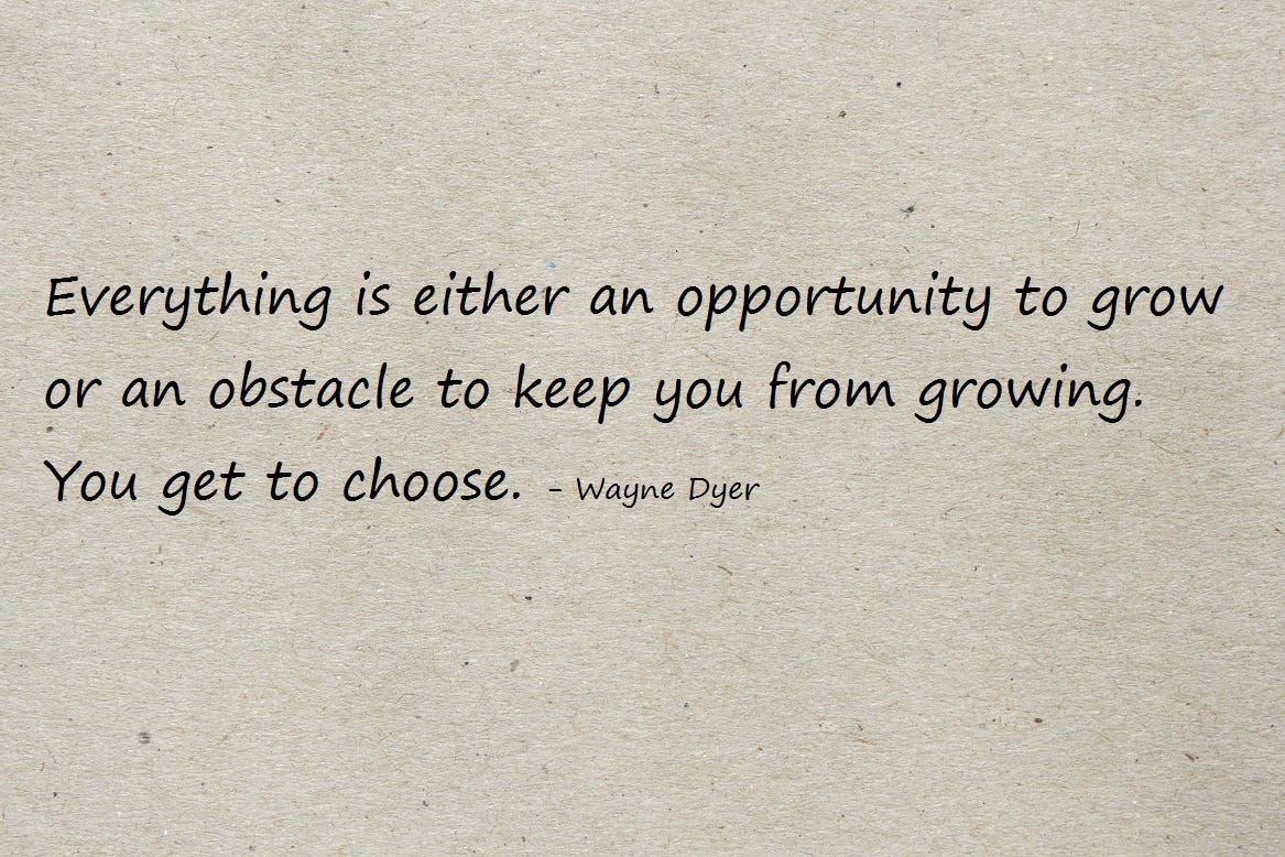 Good and Bad Growth. Good Growth | by Sven Stenvers | Impact Seed | Medium