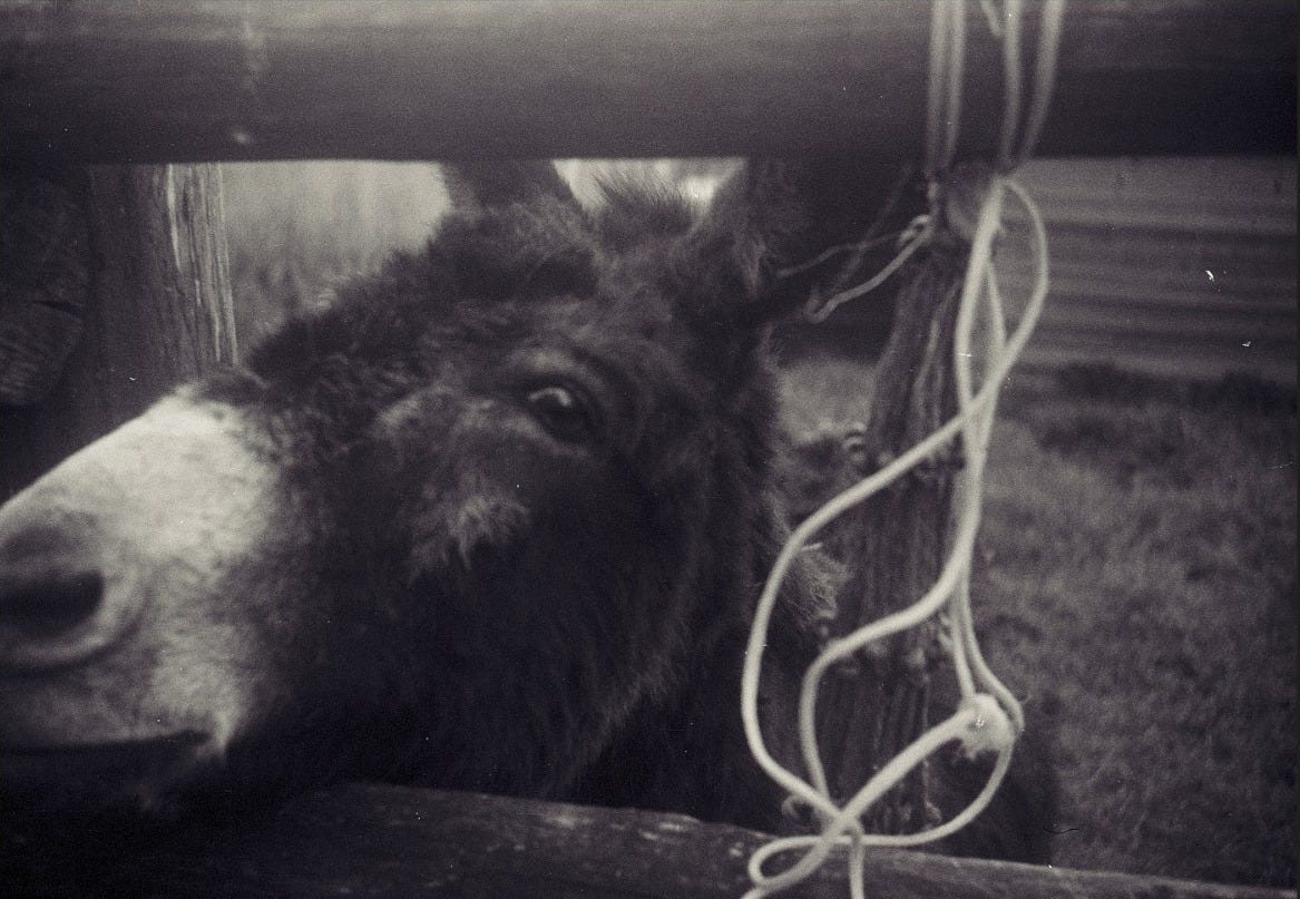 How photography deepens my self-understanding: On nostalgia and other ...