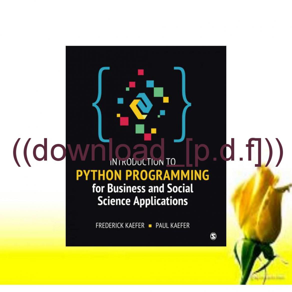 Readepub Introduction To Python Programming For Business And