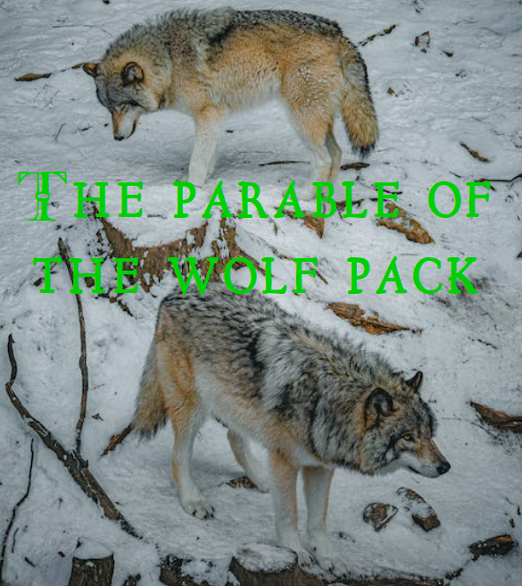Wolf Protecting Pack