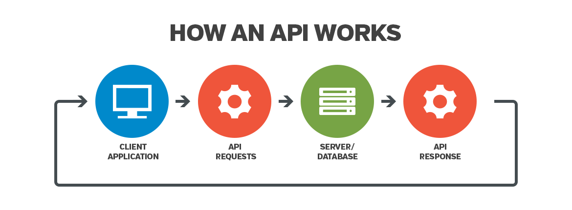 API: A Series Requests and Exploitation | by lucideia | Nov, 2024 | Medium