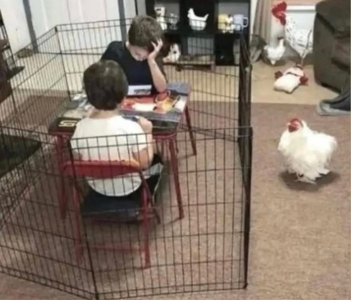 Reddit Images That Need Context I Don’t Have | by Adriene Adams | Jan ...