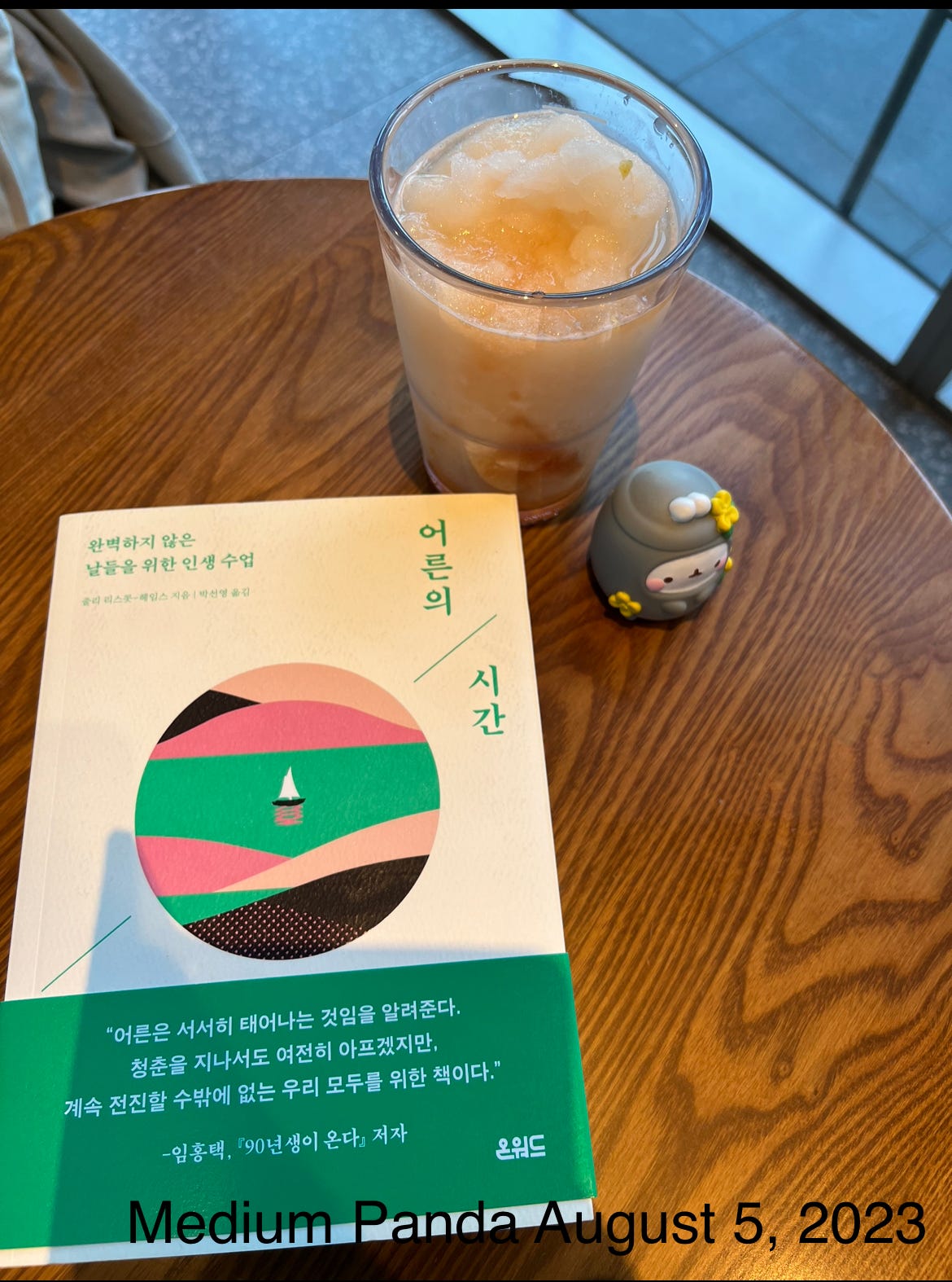 [Summer Reading] 줄리 리스콧-헤임스 (Julie Lythcott-Haims), 어른의 시간 (Your Turn, 2021) - Medium_Panda - Medium