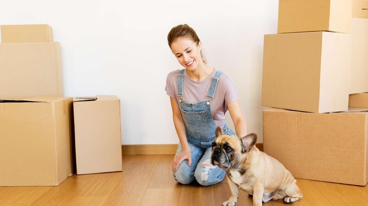 TIPS FOR MOVING WITH DOGS AND CATS - Trek Movers - Medium