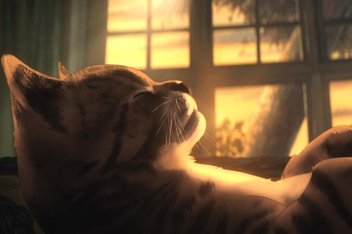 Dream of a Thousand Cats. The power of dreams can change the… | by ...