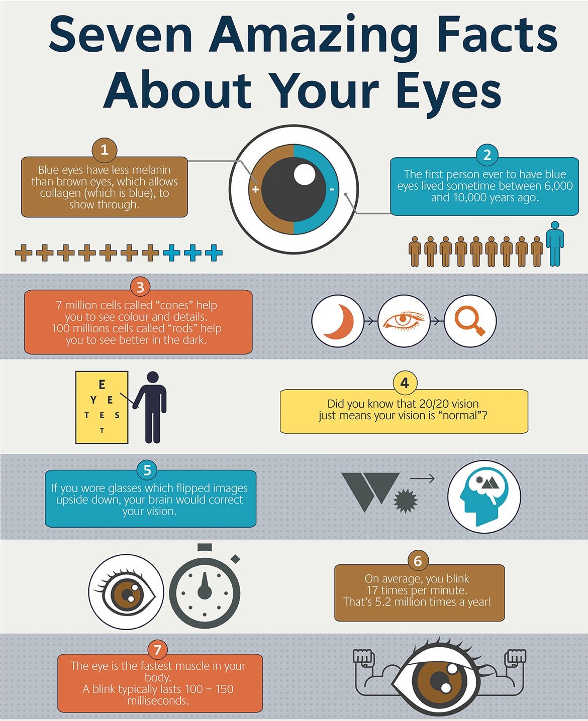 Seven Amazing Facts About Your Eyes. - Dr. Sonia Maheshwari Kothari ...