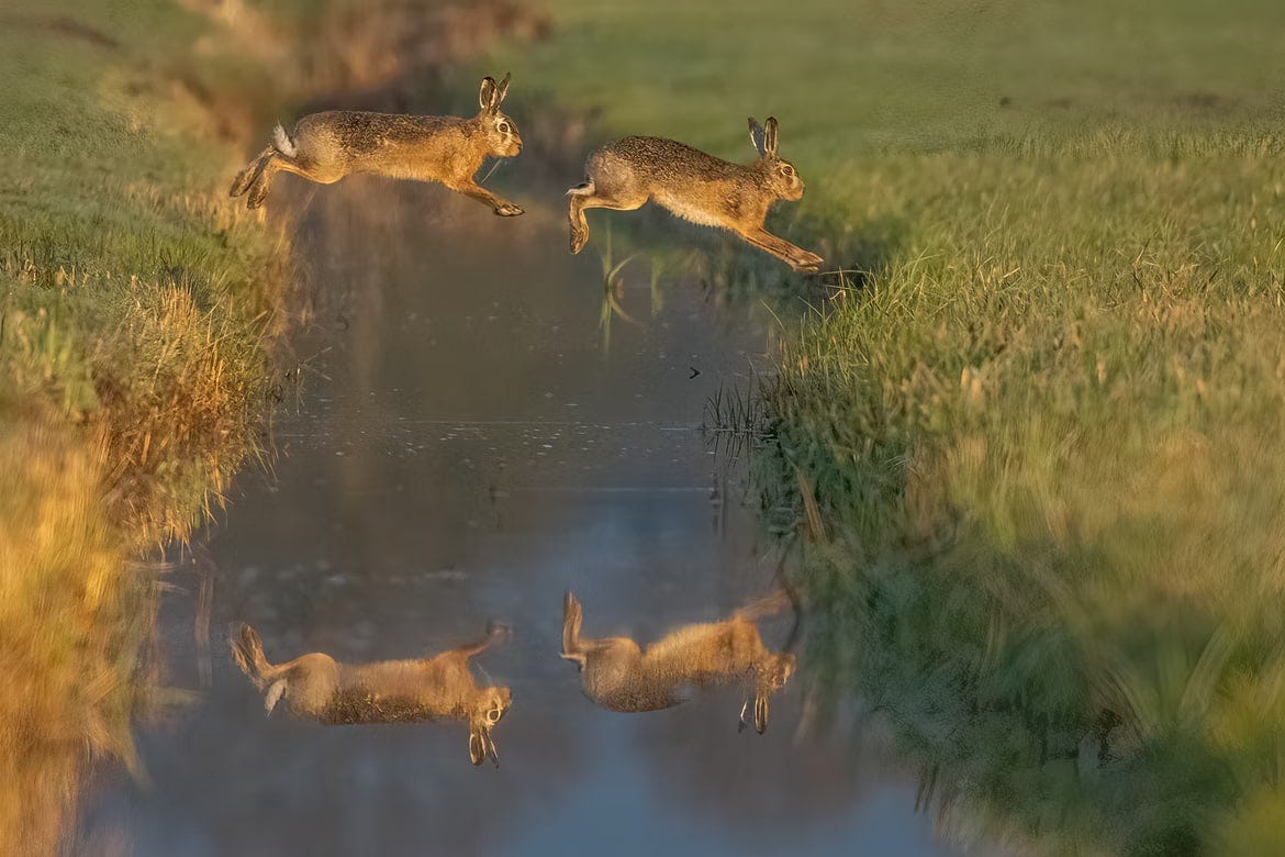 “Life is still ahead …” (Interesting images — pictures with meaning ...