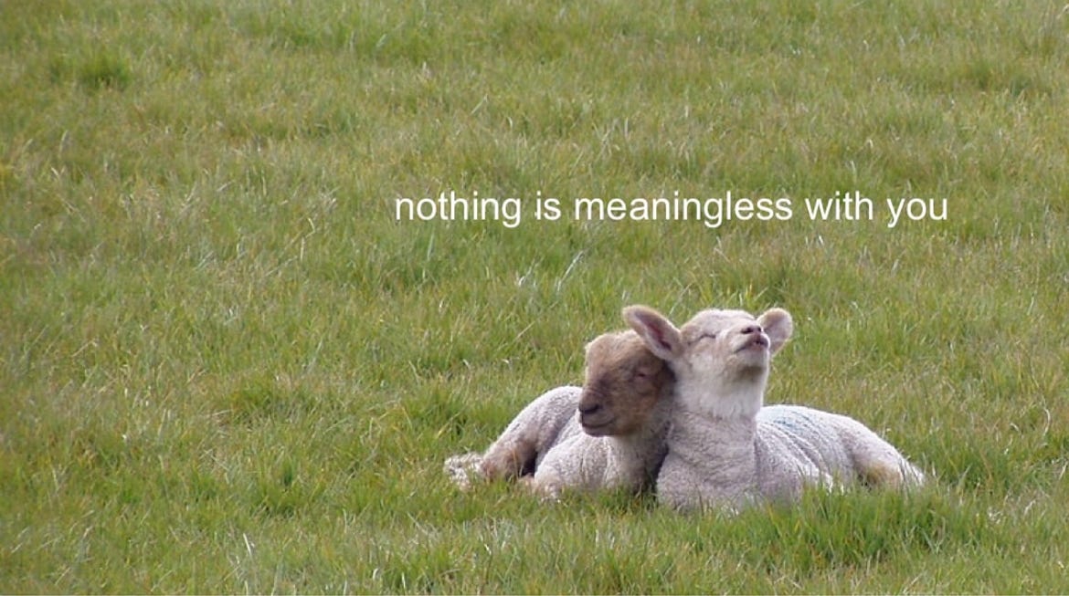 Love Me Tender. | by Edward Strauss. | Mar, 2025 | Medium