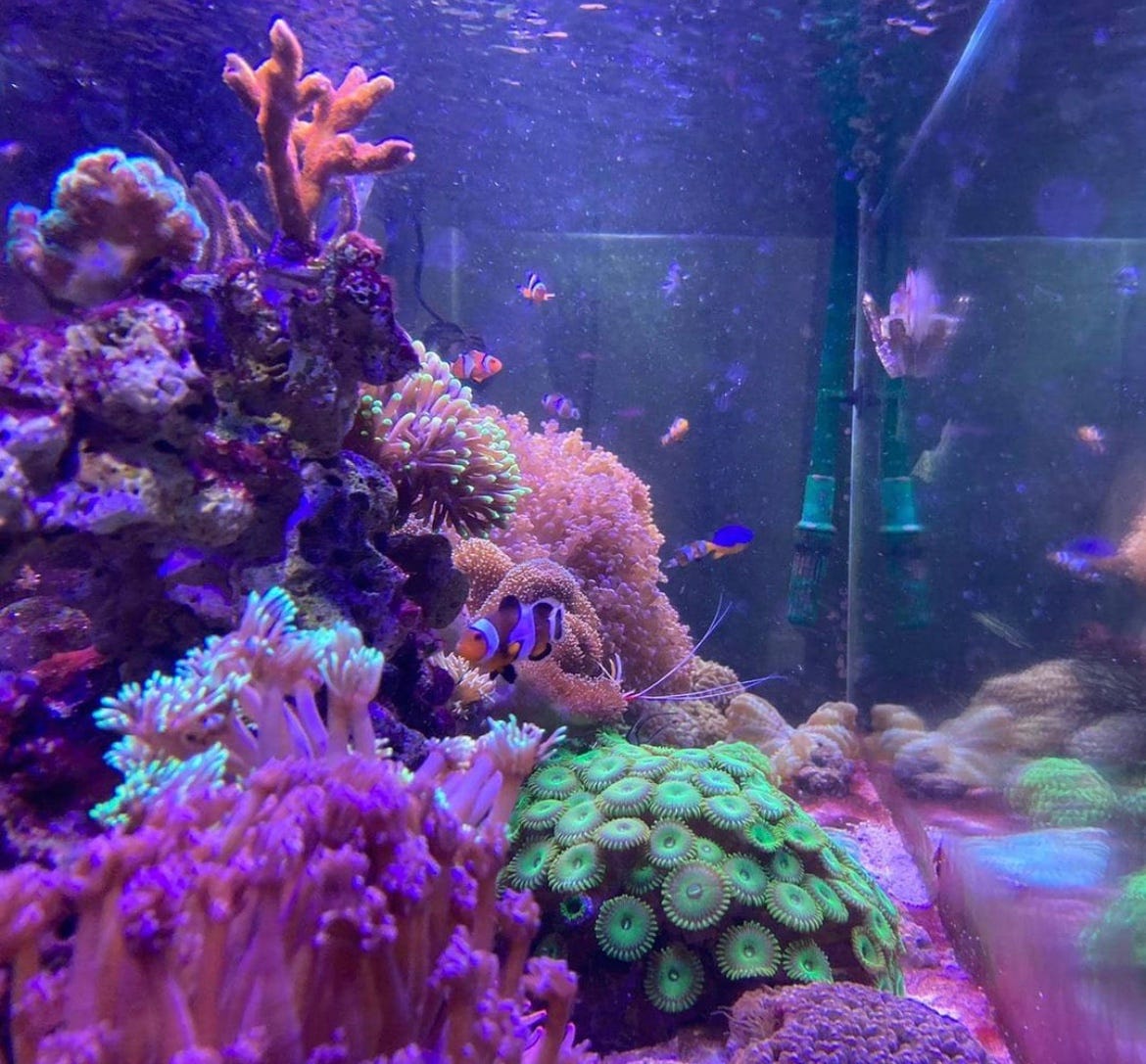 The Magnified Fishbowl. A Poem in response to GiaB writing… | by Daniel ...