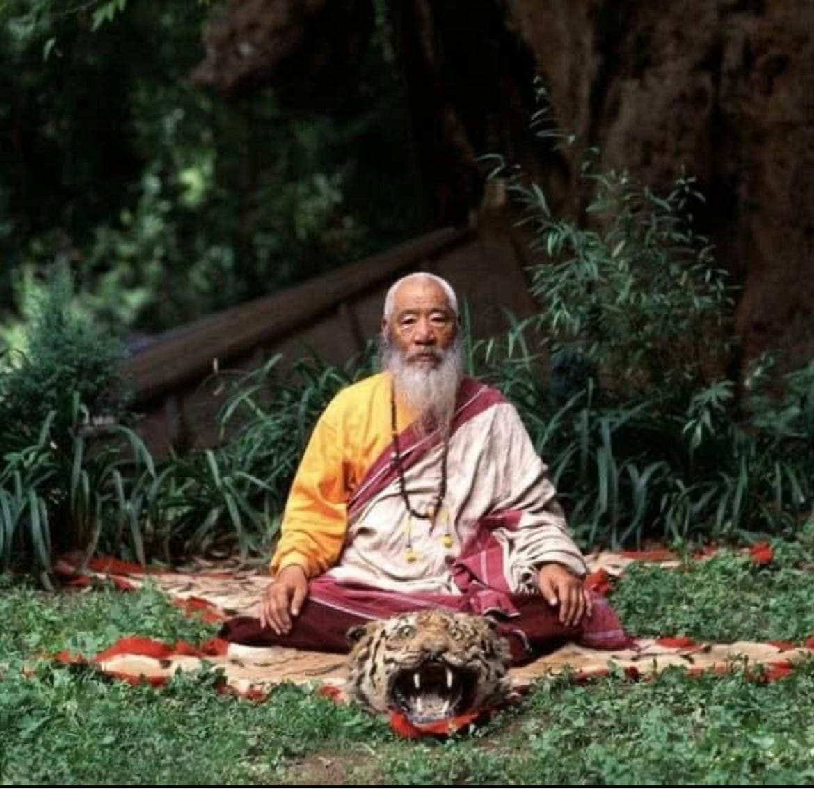The Death of Truth. Why Real Wisdom Is Being Lost (And How… | by Dr ...