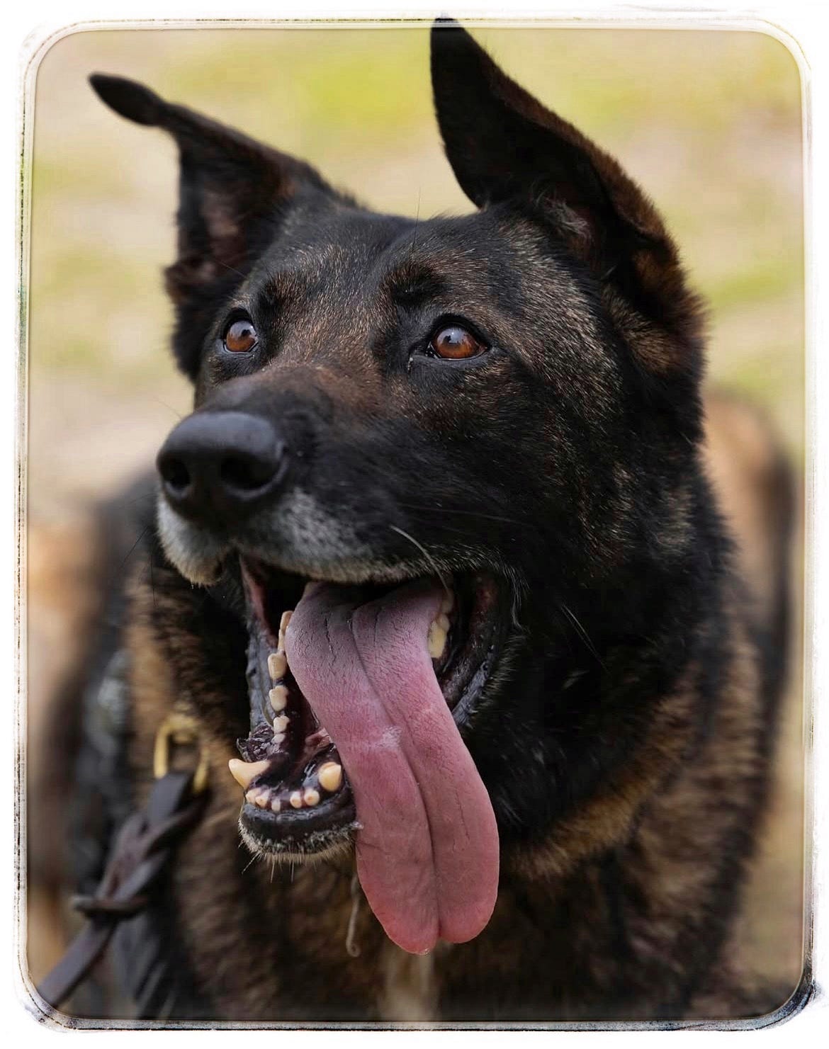 Meet Ret. SSgt. Arpy Sojourner, USMC | by JM Hess | One Sojourner | Oct ...