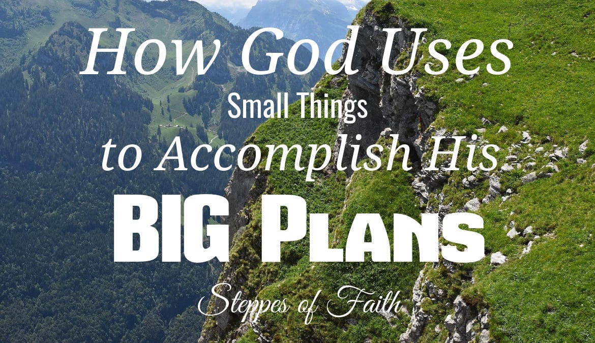 How God Uses Small Things to Accomplish His Big Plans | by Steppes of ...
