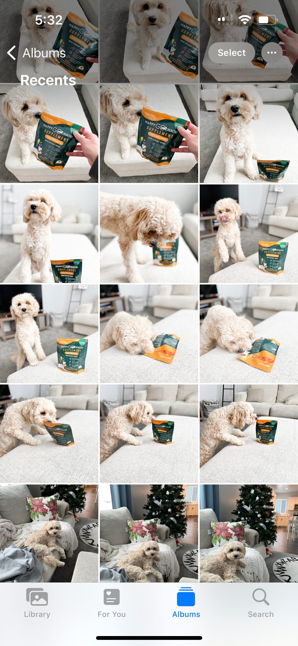 How to organize the 100000s of photos of your dog on your phone | by ...