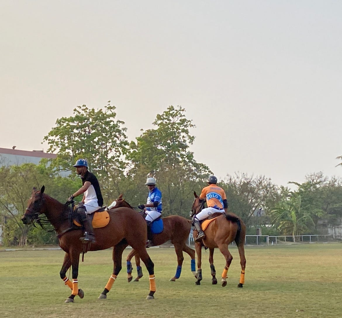 POLO — A WHOLE DIFFERENT BALLGAME. | by Abirami Krishnavadanan | May ...