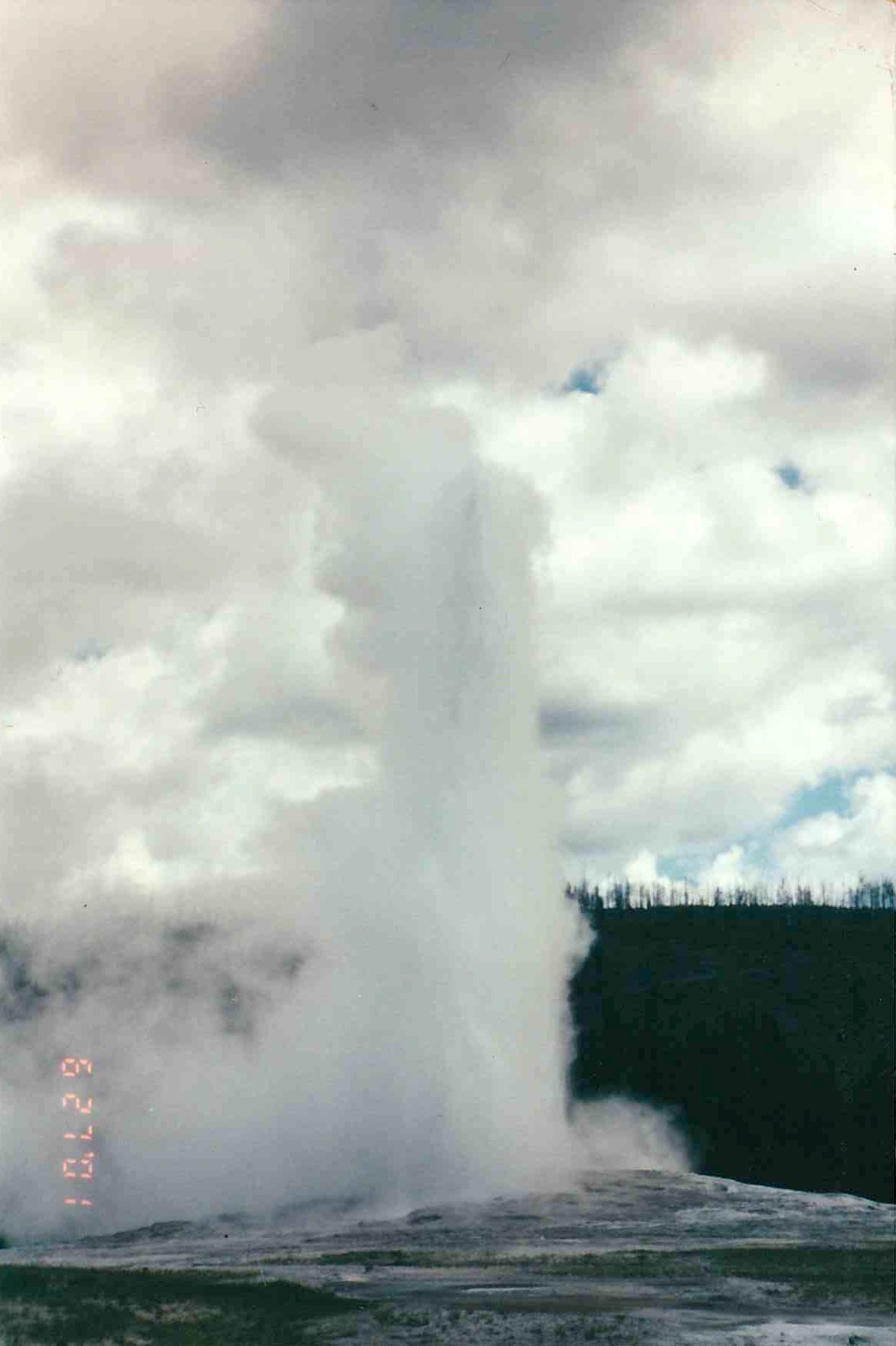June 27, 2001. Yellowstone National Park, Wyoming —… | by Michael Orr ...